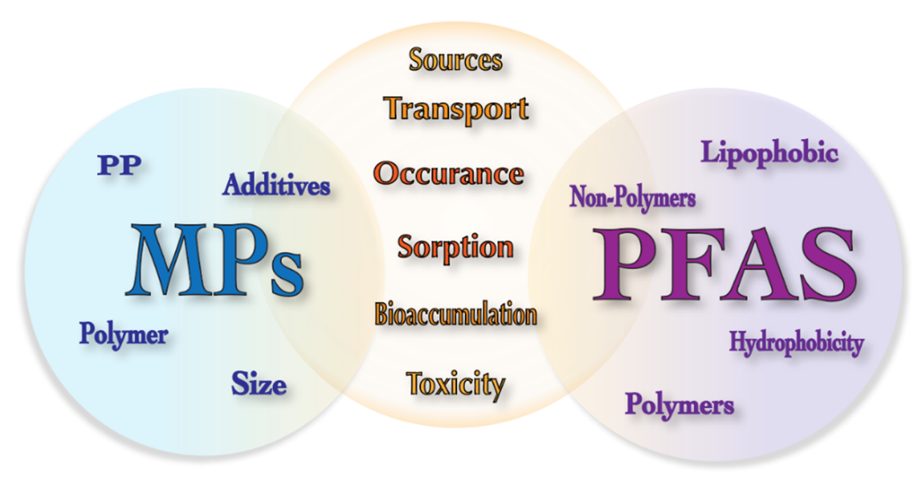 Unraveling the Intricate Coexistence of Microplastics and PFAS – Part 1